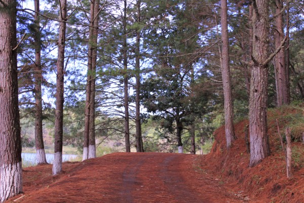 Laguna verde de Coapilla | Chiapasparalelo