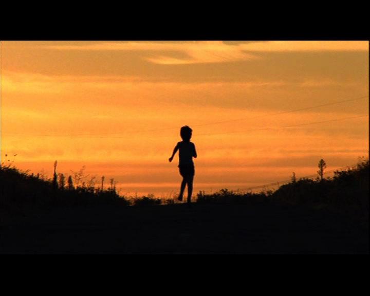 Definición de forastero | Chiapasparalelo