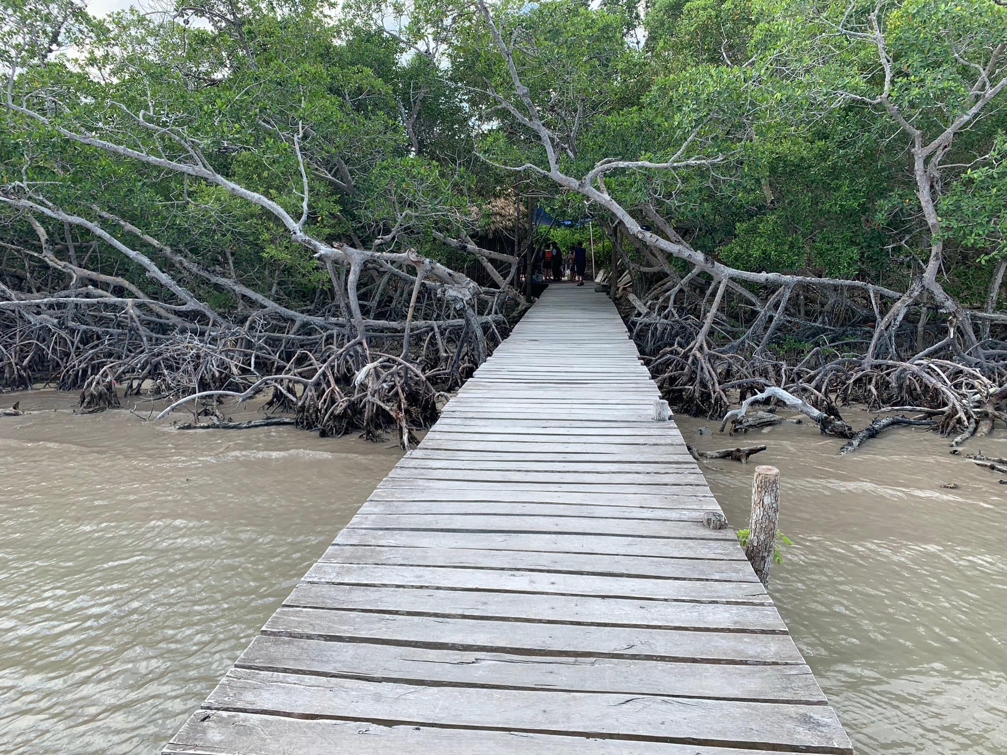 Perros, Pemex, Parque México: ¡Pum! ¡Pum! ¡Pum!* | Chiapasparalelo