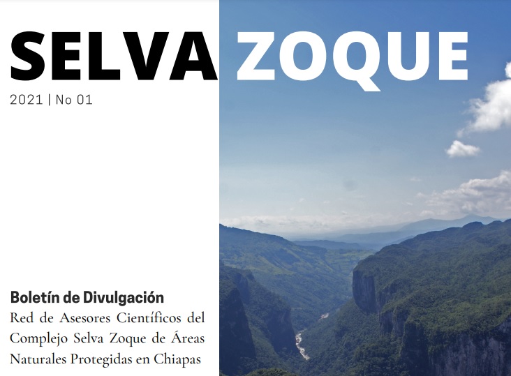 Selva Zoque, nace boletín de divulgación del área natural protegida ...