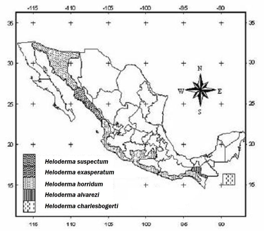 Heloderma, los lagartos venenosos de América | Chiapasparalelo