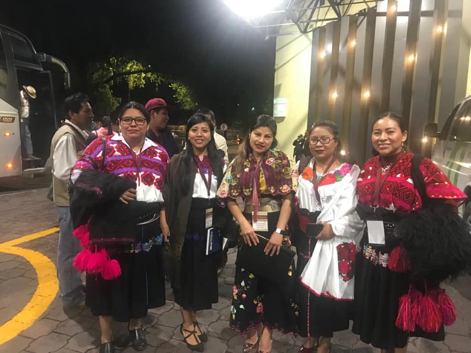 Comunidad tsotsil y tseltal viven con orgullo en Estados Unidos ...