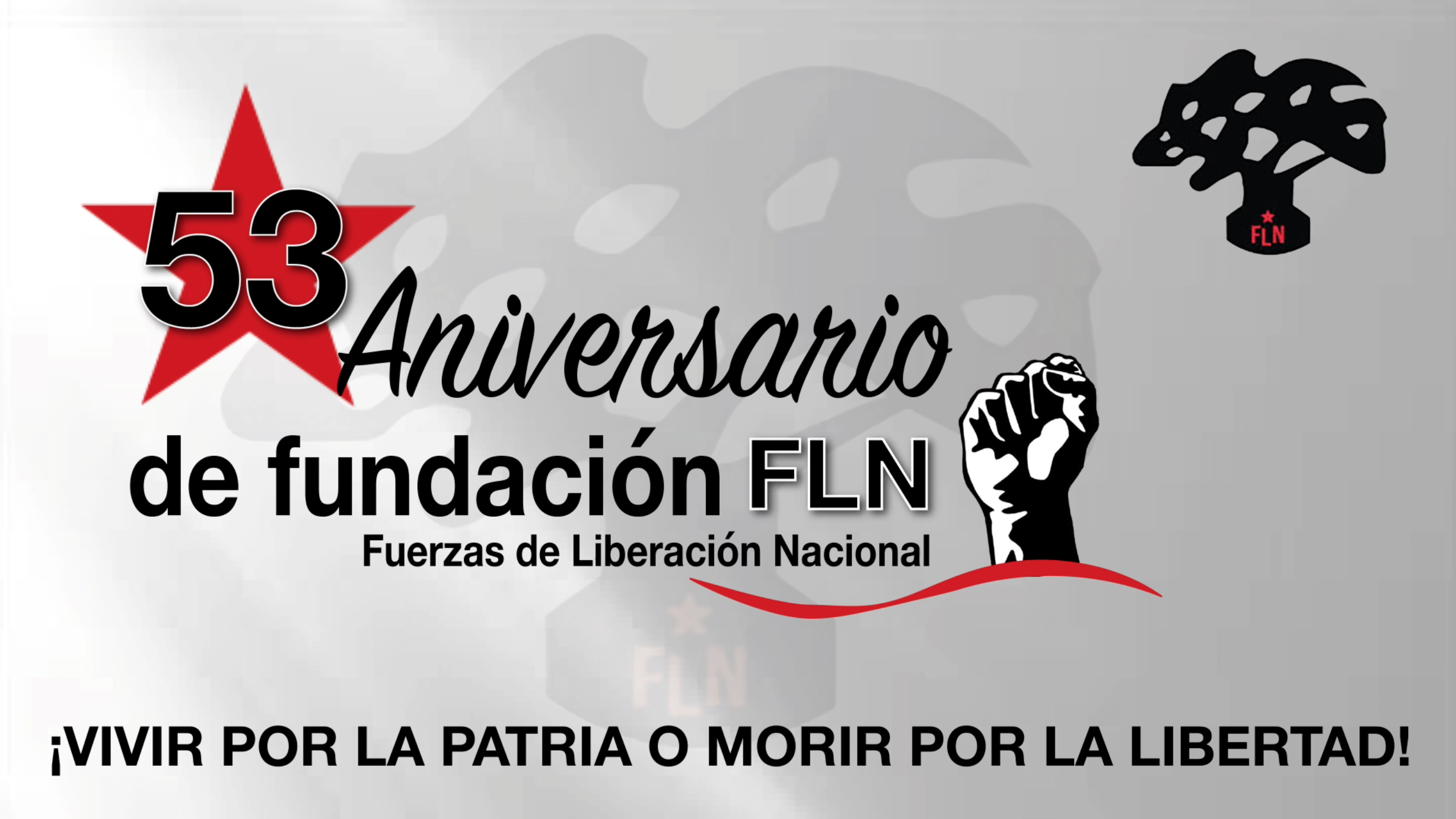 A 53 años de las FLN, habla el Comandante César | Chiapasparalelo