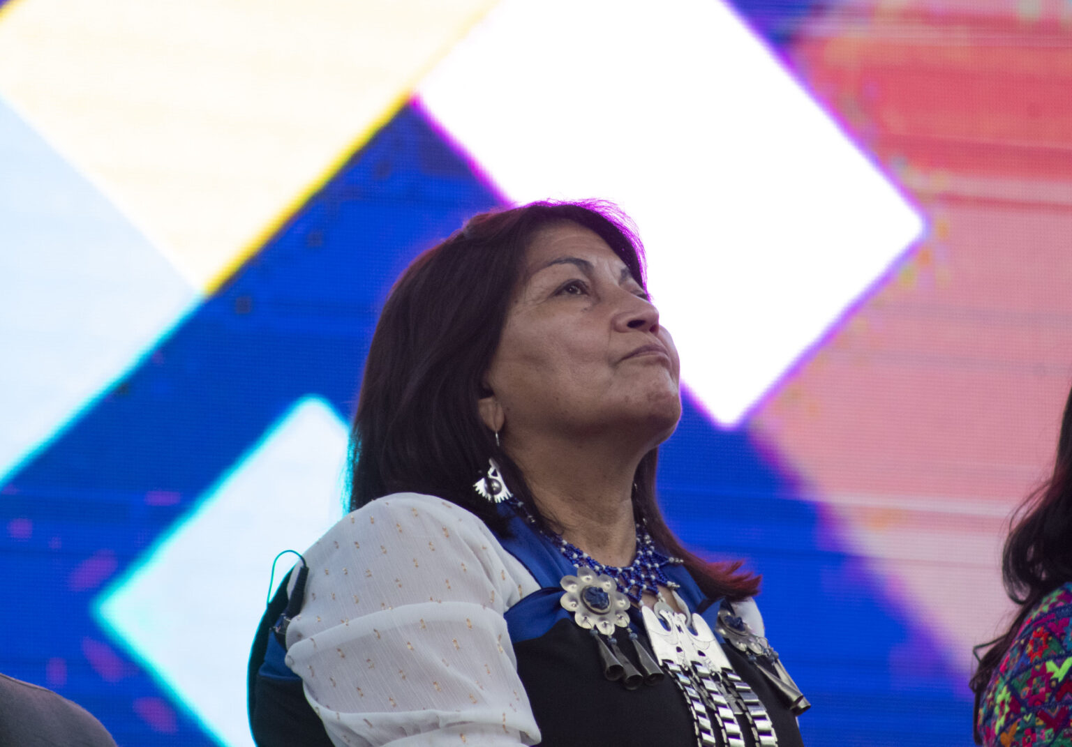 La plurinacionalidad, el reconocer las raíces indígenas negadas: Elisa ...