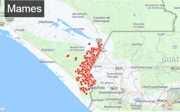 Mames de México y Guatemala realizan festival | Chiapasparalelo