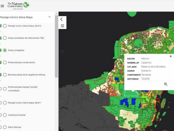 Conoce la riqueza de Chiapas, el segundo estado más biodiverso de ...