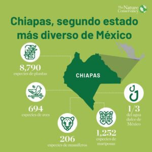 Conoce la riqueza de Chiapas, el segundo estado más biodiverso de ...